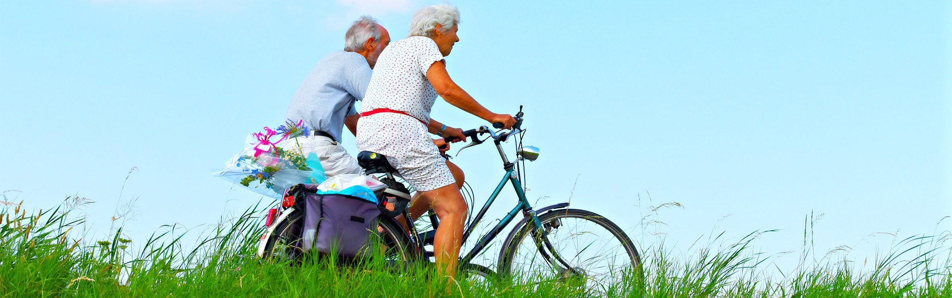 Accueil V2 - PLA Beziers